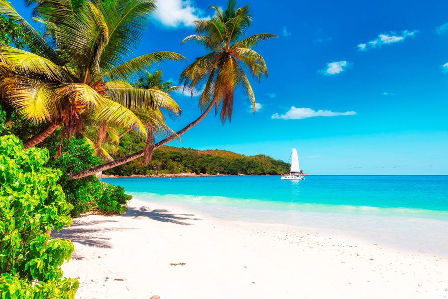 Jamajka | EXIM TOURS